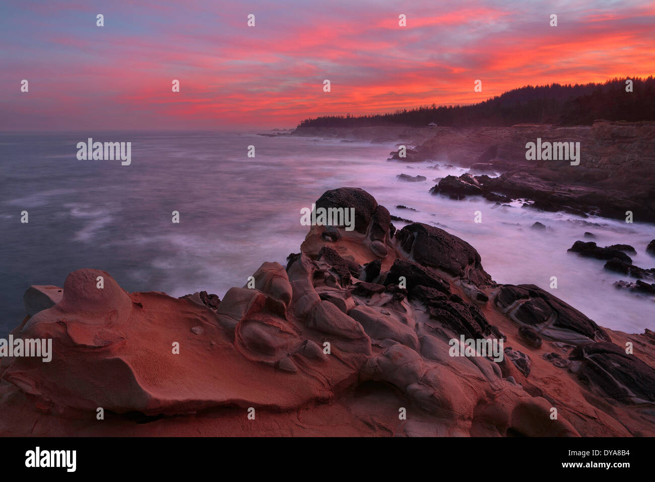 Li coast state park hi-res stock photography and images - Alamy