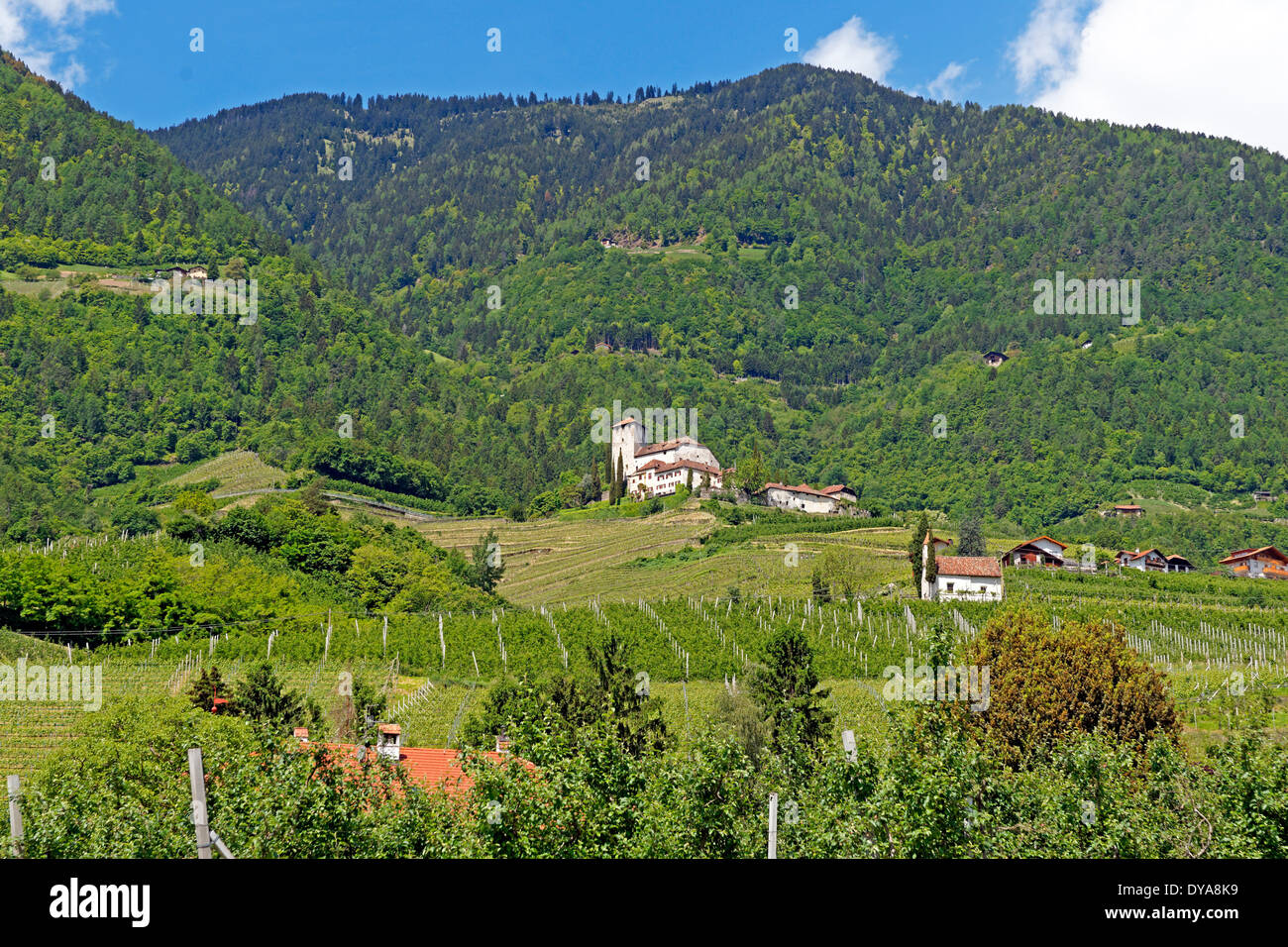 Europe Italy South Tirol South Tyrol Trentino Alto Adige Cermes ...