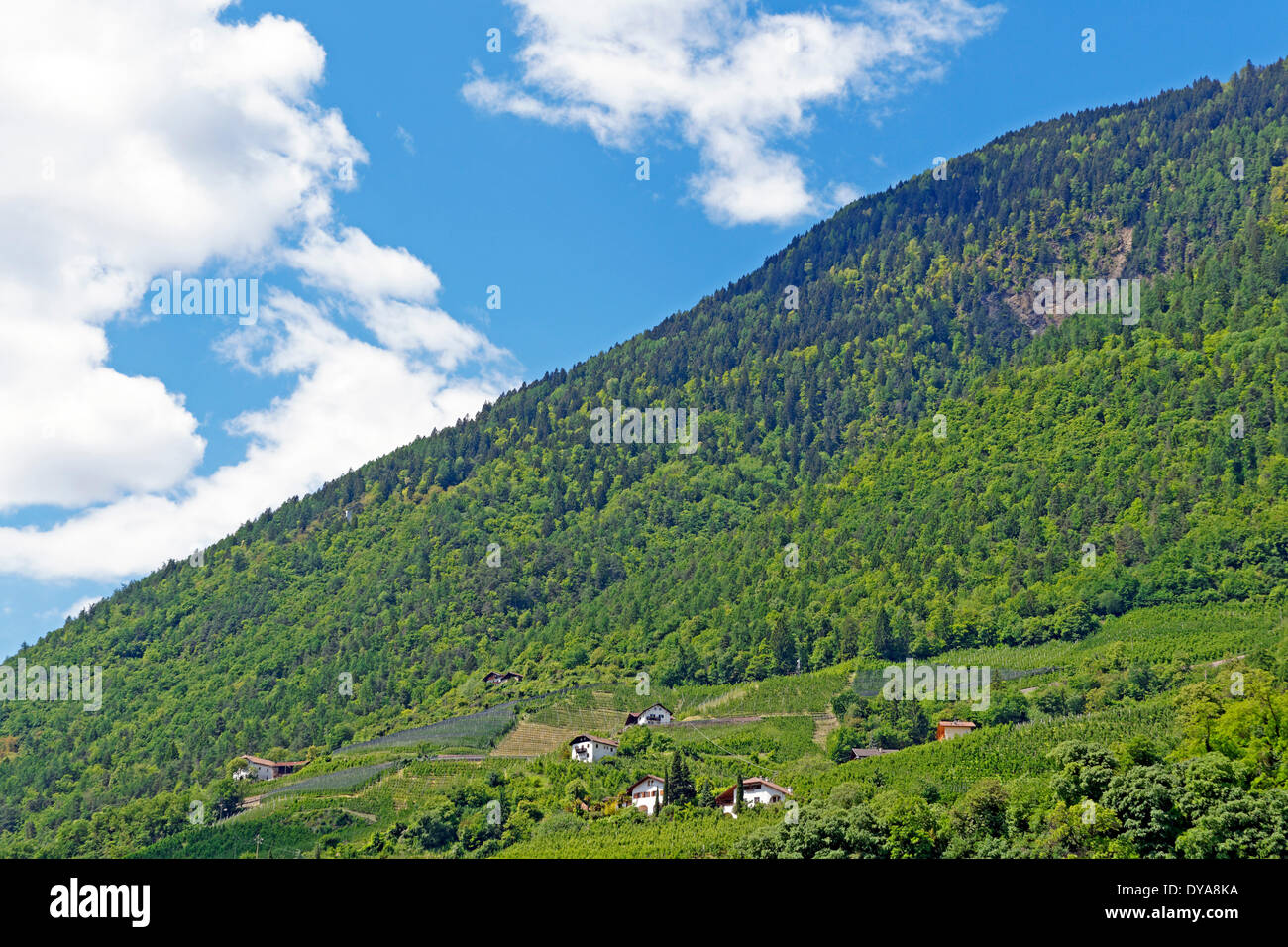 Europe Italy South Tirol South Tyrol Trentino Alto Adige Cermes Tscherms Gampenstrasse via ...