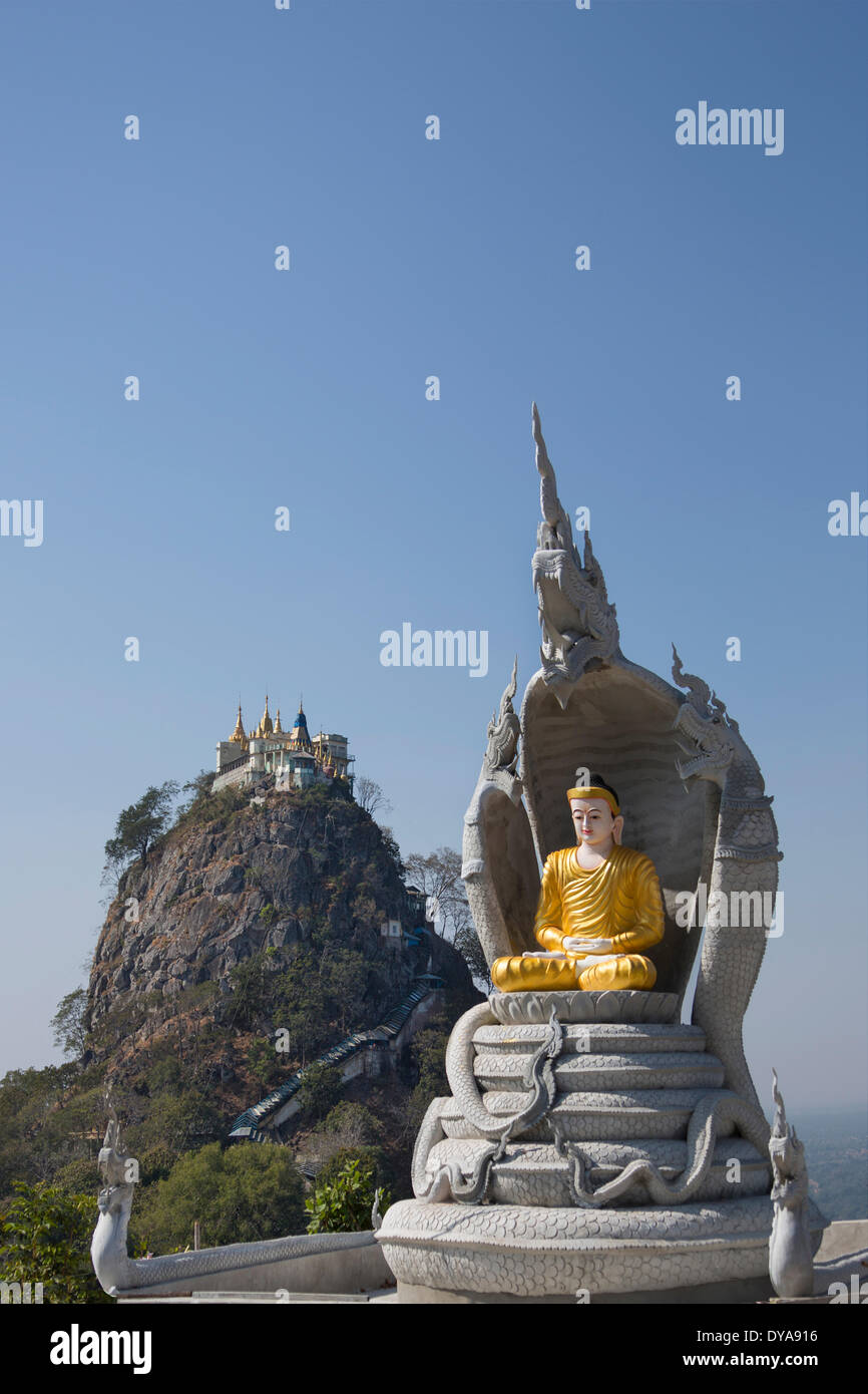 Myanmar snake hi-res stock photography and images - Alamy