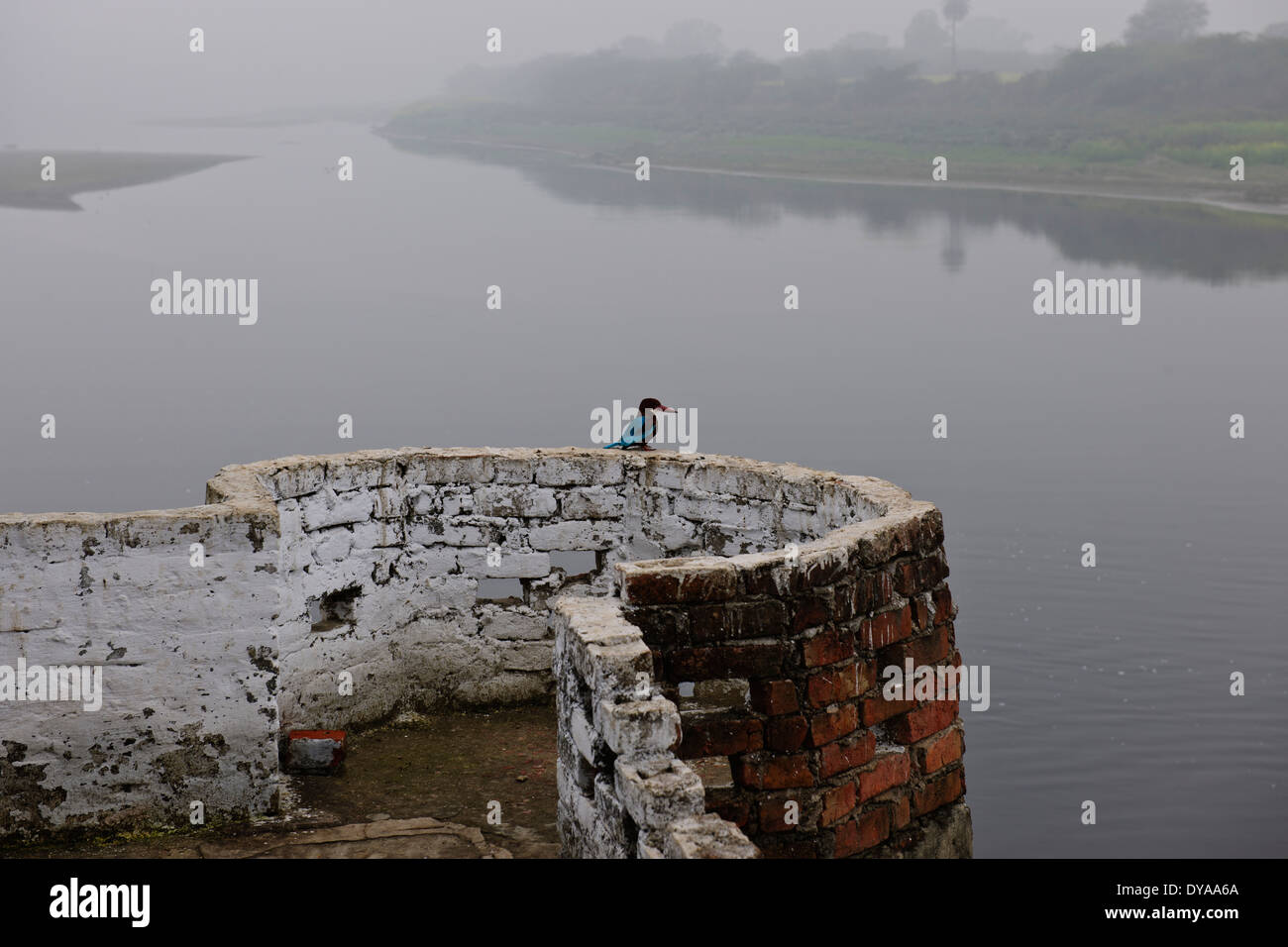 Bateshwar 200 Temple Complex, an archaeological site comprising about ...