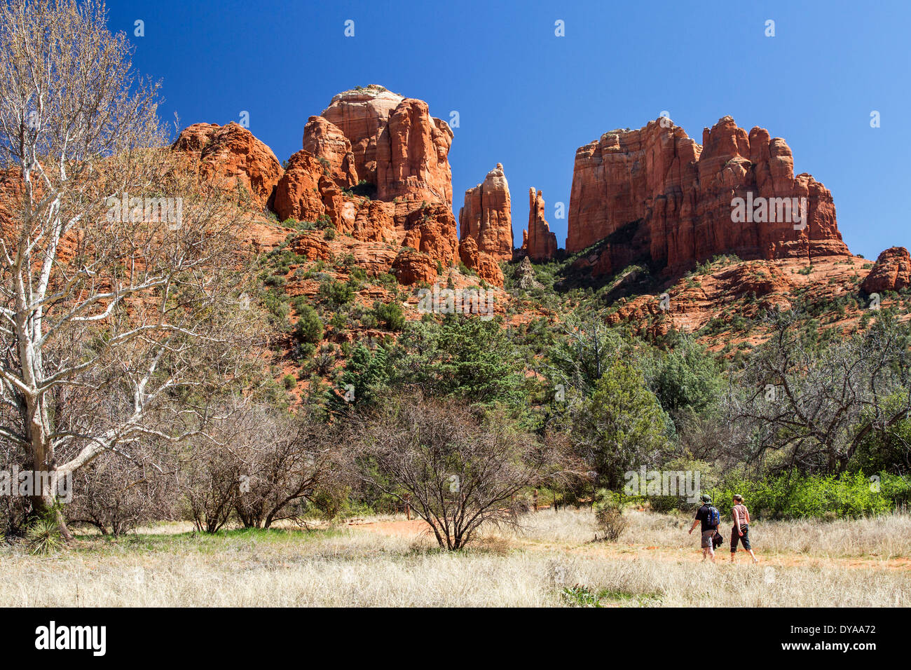 Cathedral Rocks, Sedona, Arizona, USA Stock Photo - Alamy
