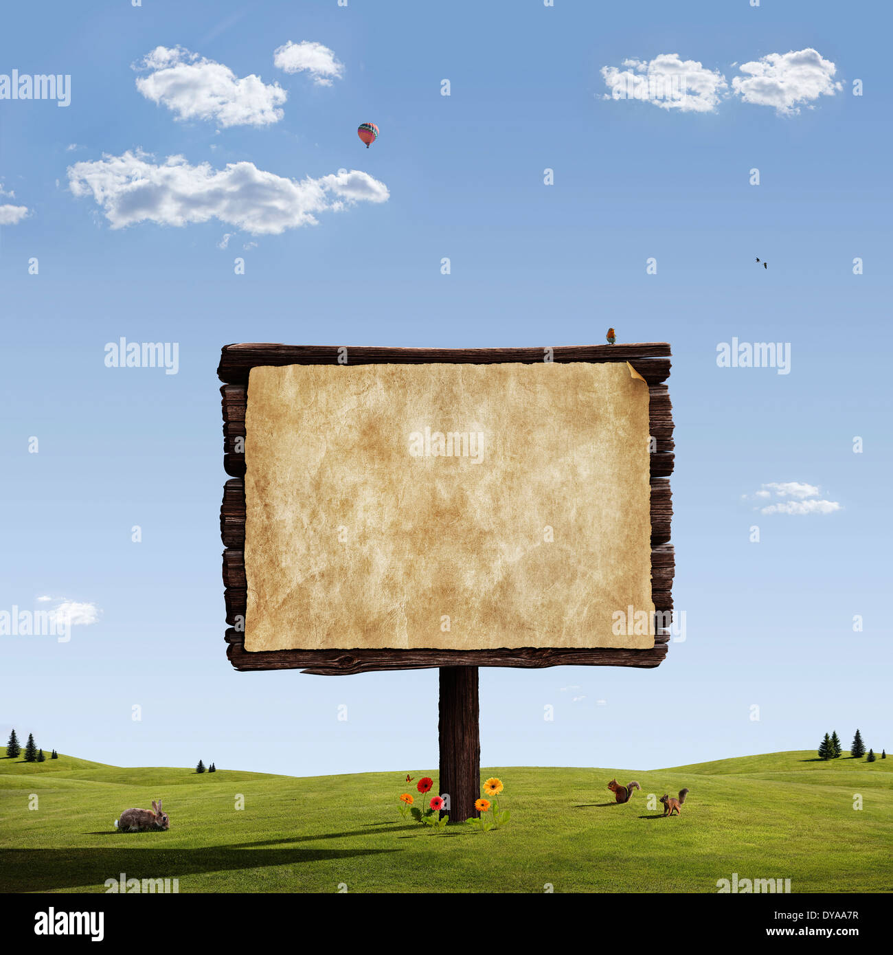 Giant daisy field hi-res stock photography and images - Alamy