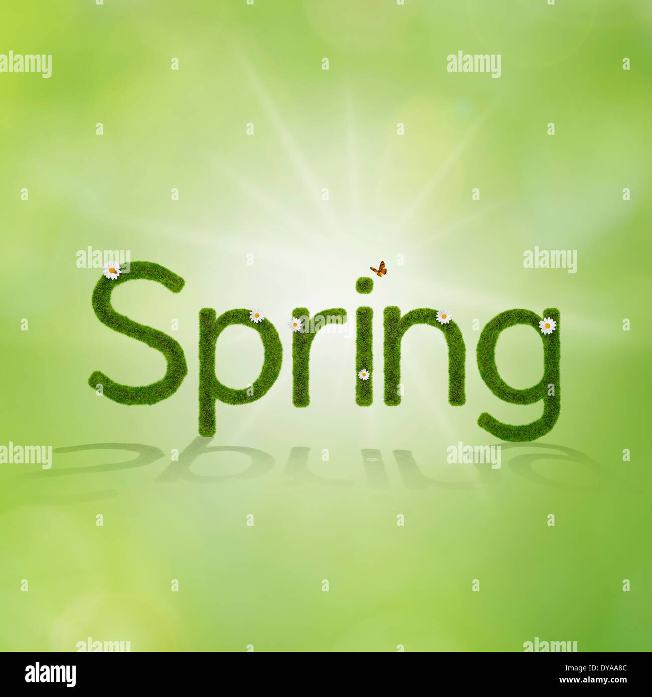 Spring letters made from grass Stock Photo - Alamy