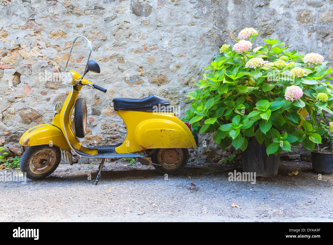 Scooter siena hi-res stock photography and images - Alamy