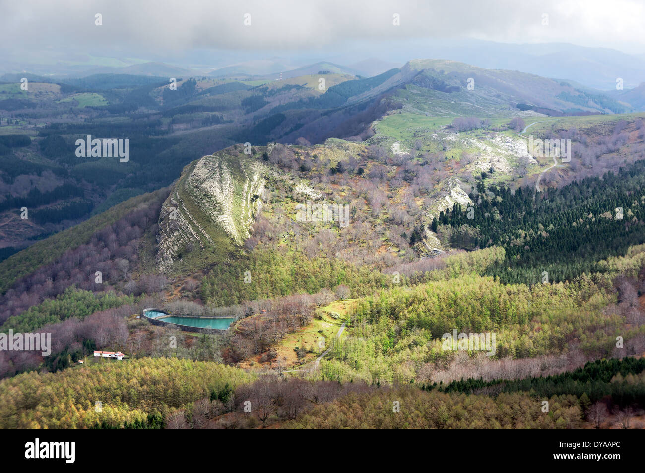 Green tree reservoir hi-res stock photography and images - Alamy