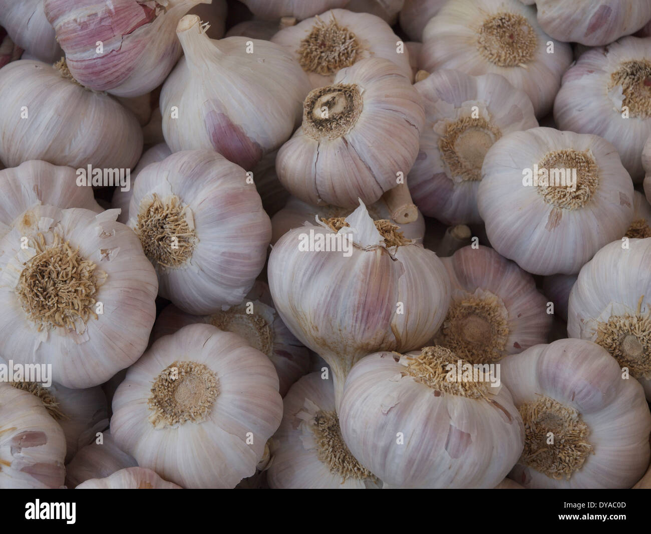 Smell, Food, garlic, white, vegetables Stock Photo - Alamy