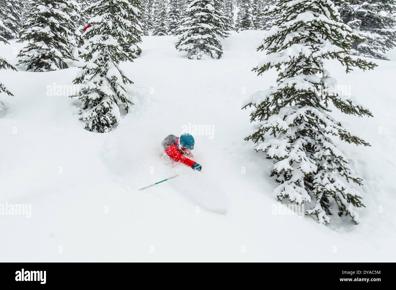 Columbia Mountains The Bugaboos Heliskiing - 4 March 2014 Stock Photo ...