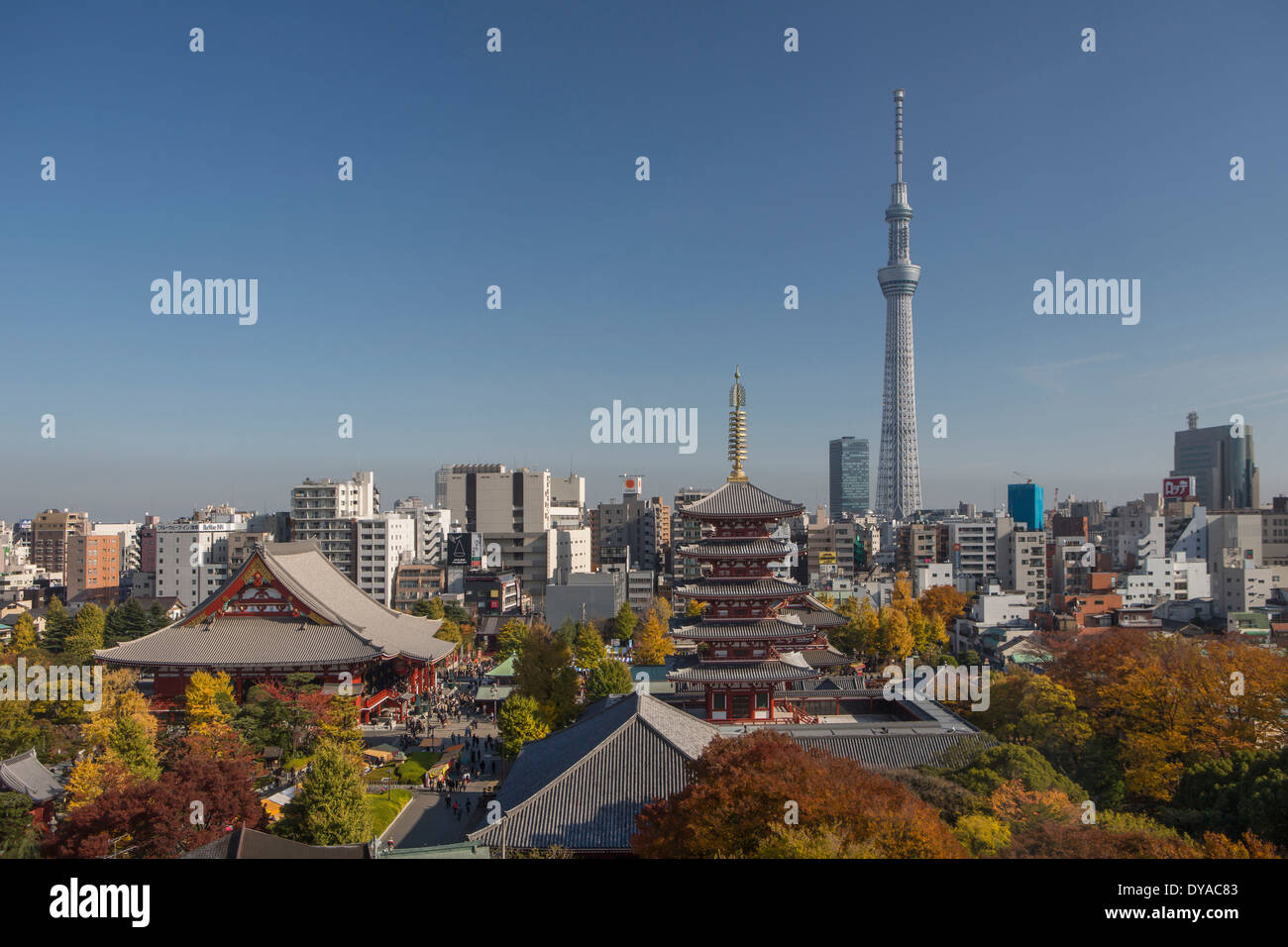 Japan Asia Tokyo City Asakusa Autumn Sensoji architecture colourful ...