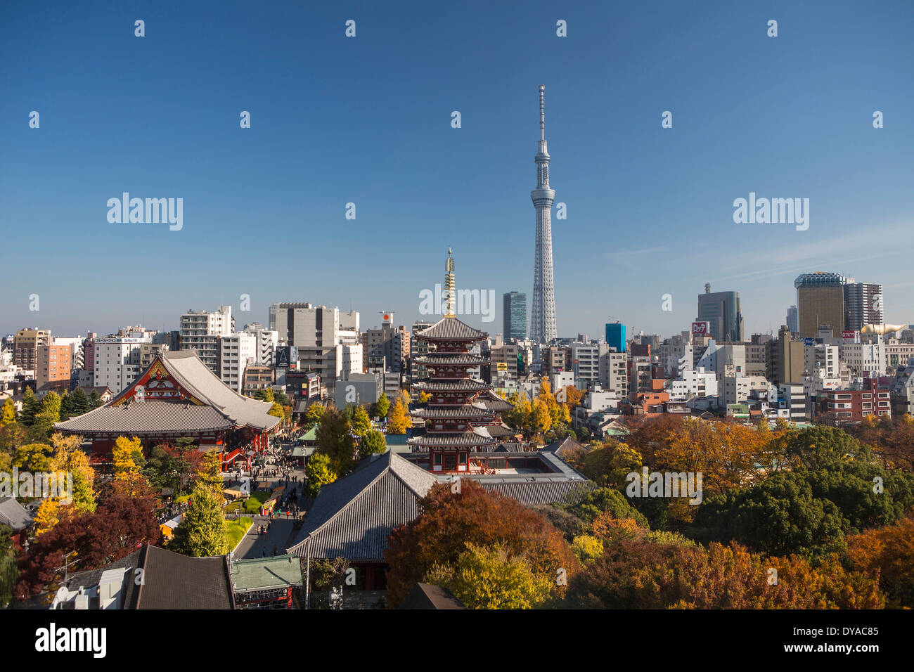 Japan Asia Tokyo City Asakusa Autumn Sensoji architecture colourful ...