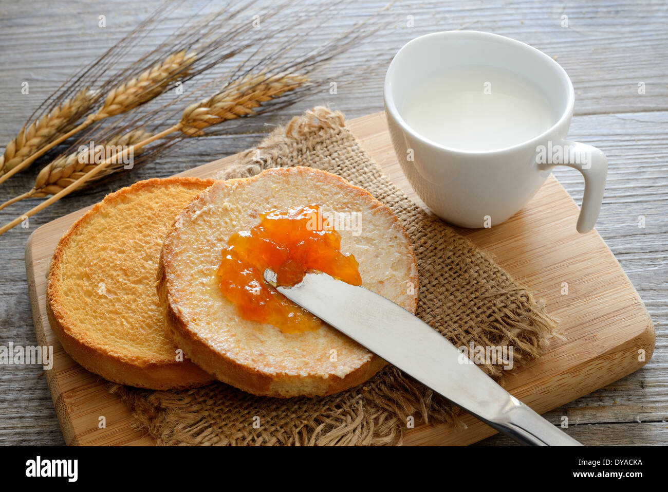 Breakfast with dutch golden crunchy rusks and milk Stock Photo - Alamy