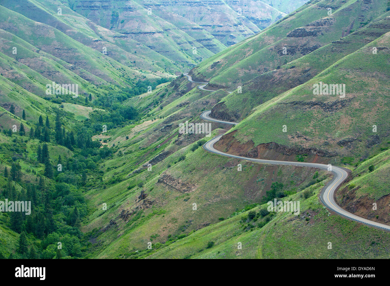Snakes through hi-res stock photography and images - Alamy