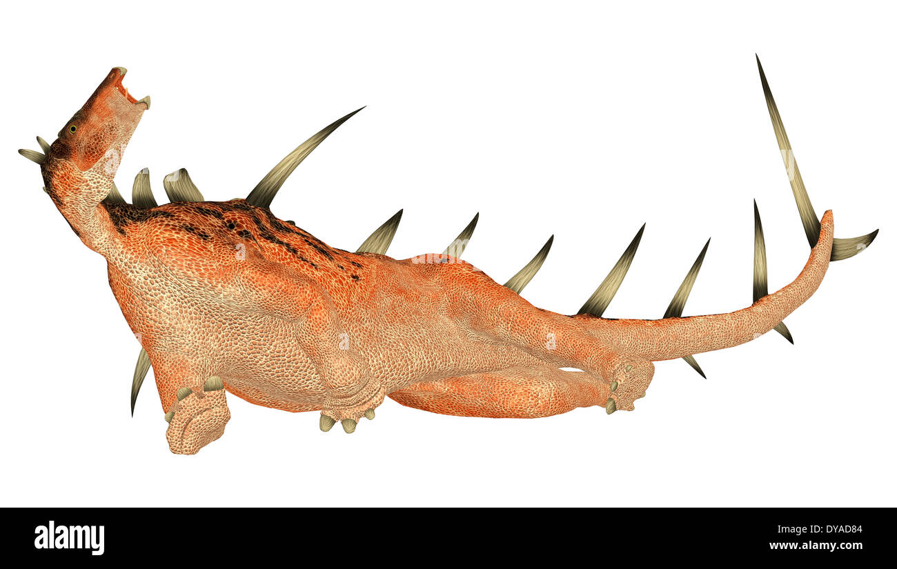 3D digital render of a scared dinosaur Kentrosaurus isolated on white ...