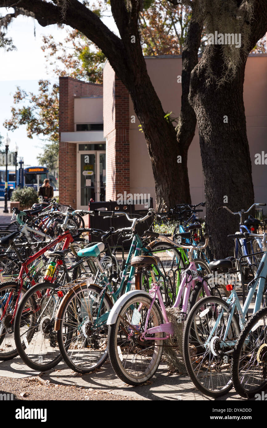 Student Bike Rack, University of Florida, Gainesville, FL, USA Stock ...