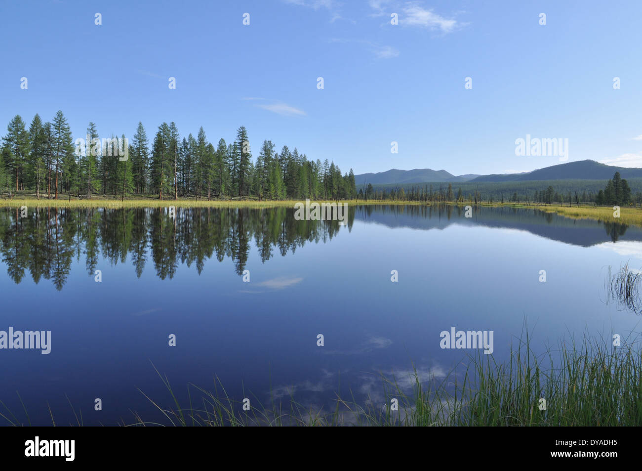 Morning lake in Yakutia Stock Photo - Alamy