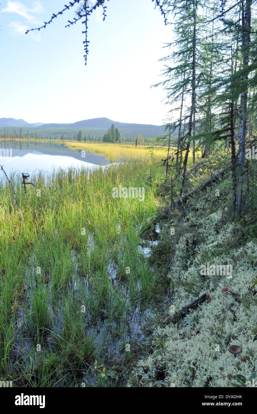 Morning lake in Yakutia Stock Photo - Alamy