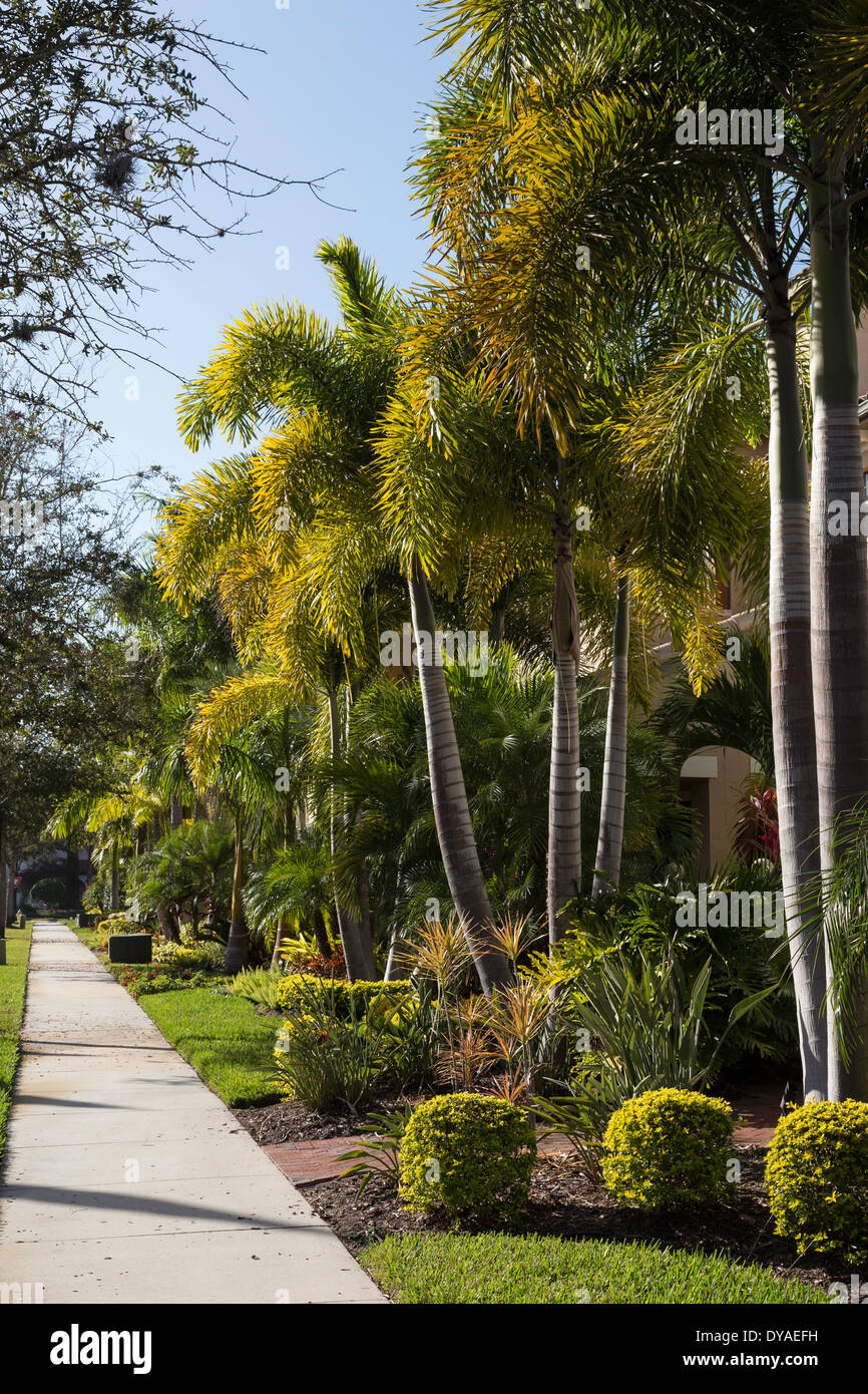 Residential Landscaping, FL, USA Stock Photo - Alamy