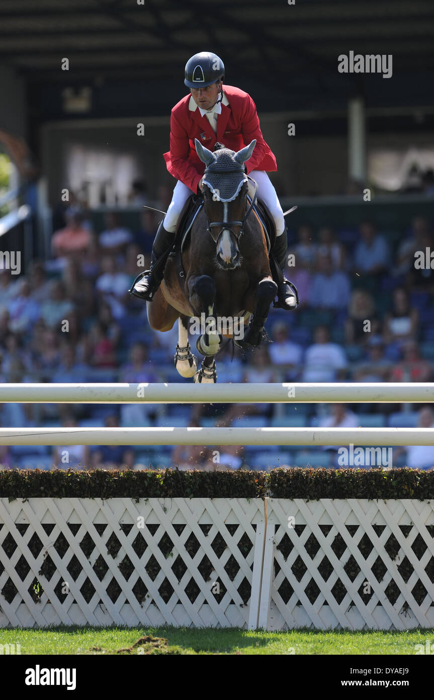 Professional Showjumper High Resolution Stock Photography and Images ...
