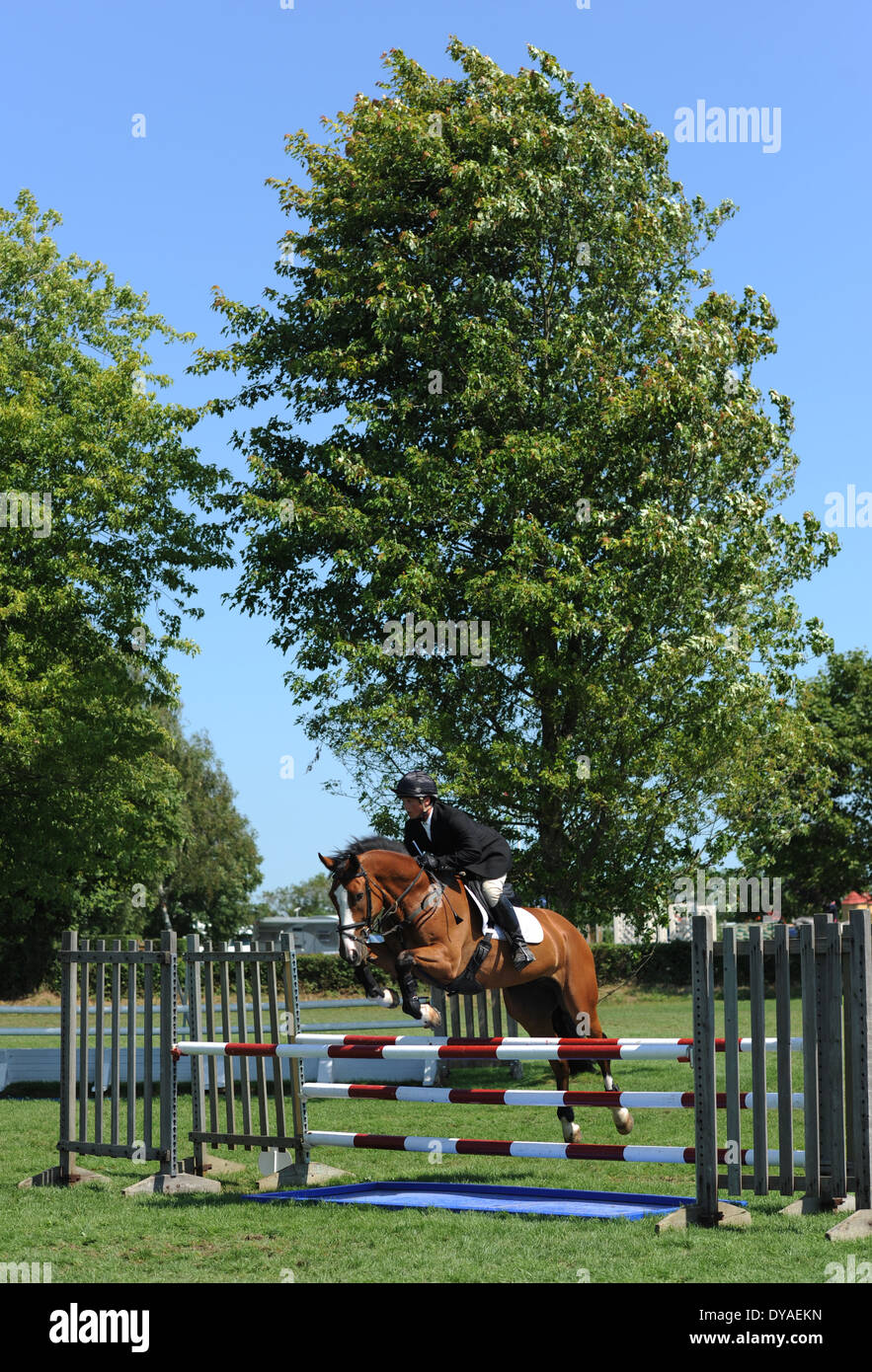 A Rider competes on a horse during a show jumping competition Stock ...