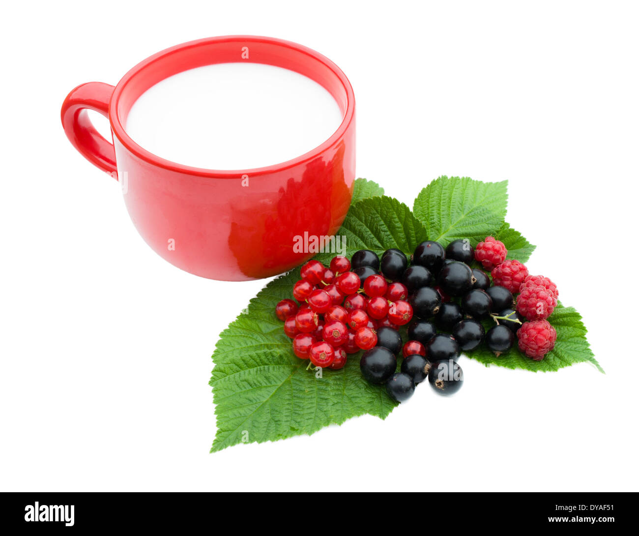 Berries currant cup milk hi-res stock photography and images - Alamy
