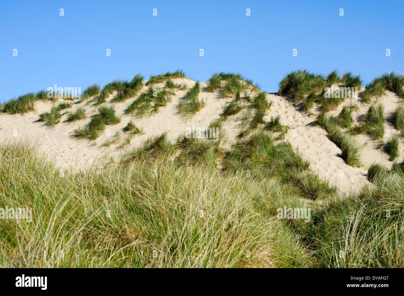 Dune system in Wexford , Ireland Stock Photo - Alamy