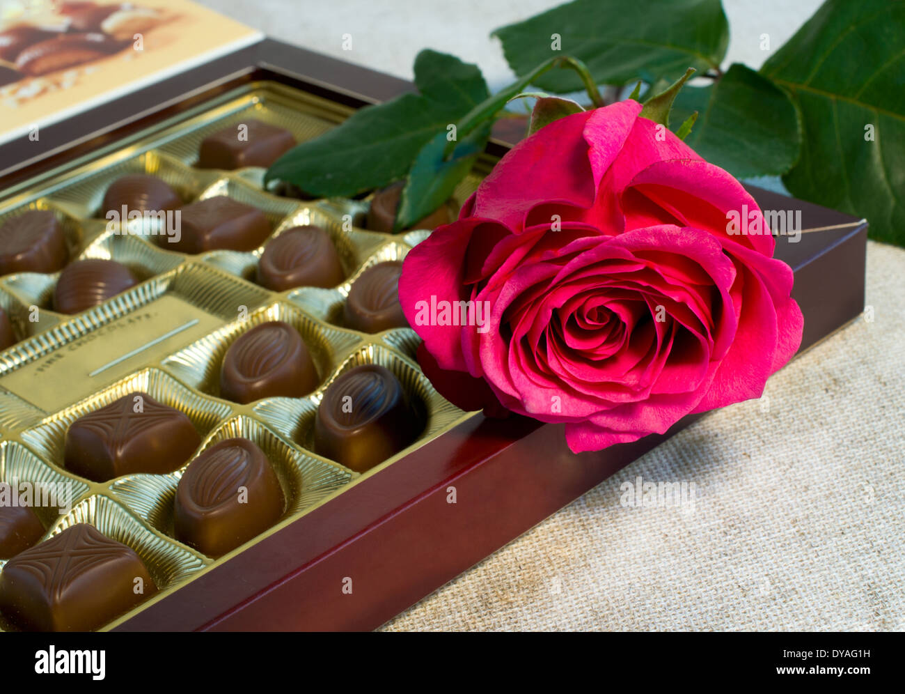 Candy rose hi-res stock photography and images - Alamy