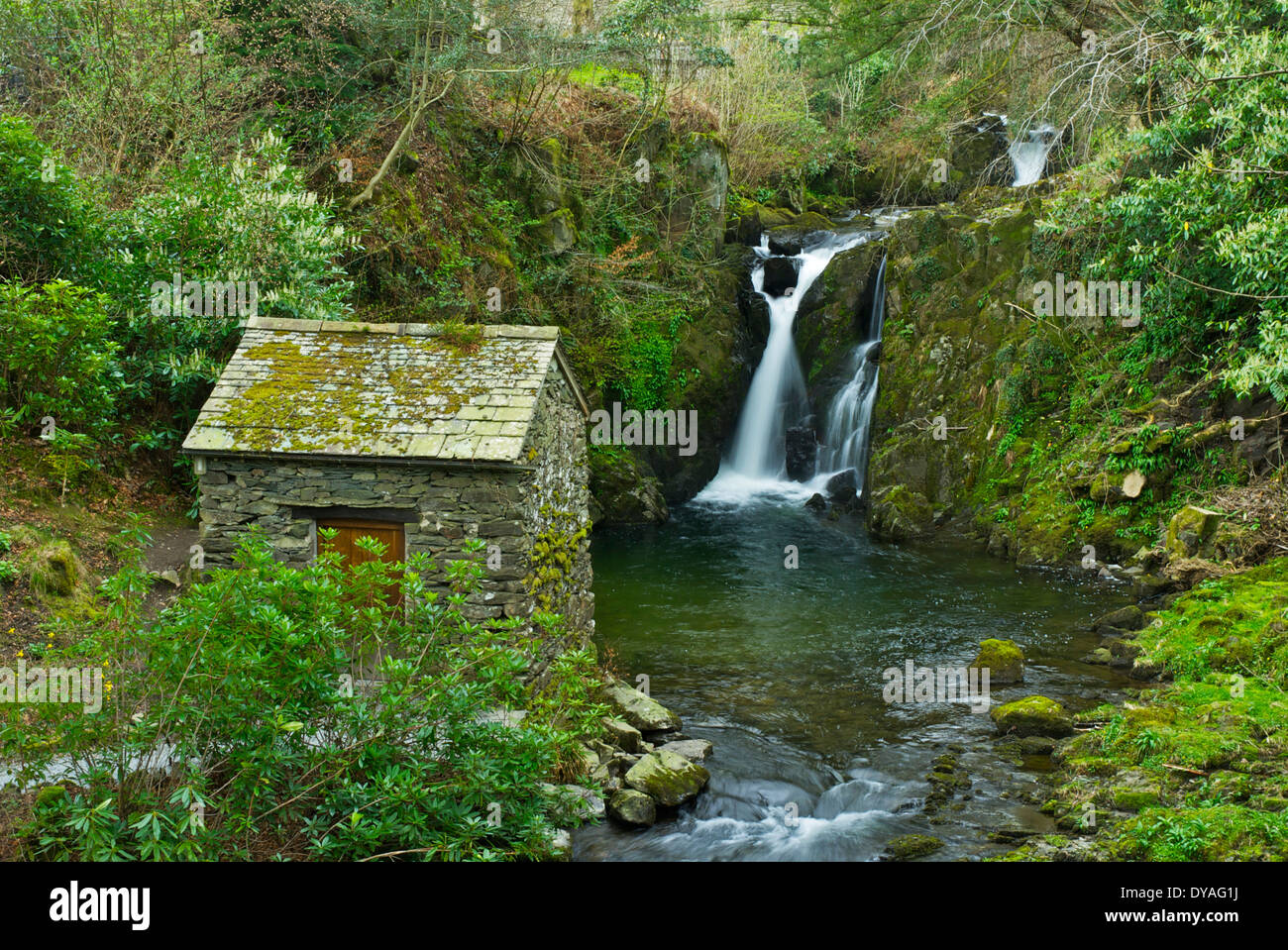 Small waterfall on Rydal Beck, in the grounds of Rydal Hall, Rydal ...