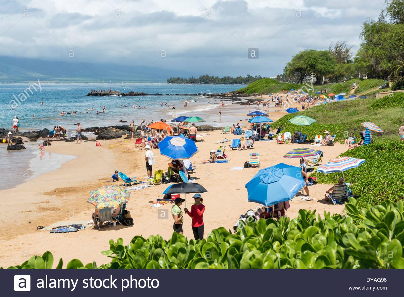 Maui Locals High Resolution Stock Photography and Images - Alamy