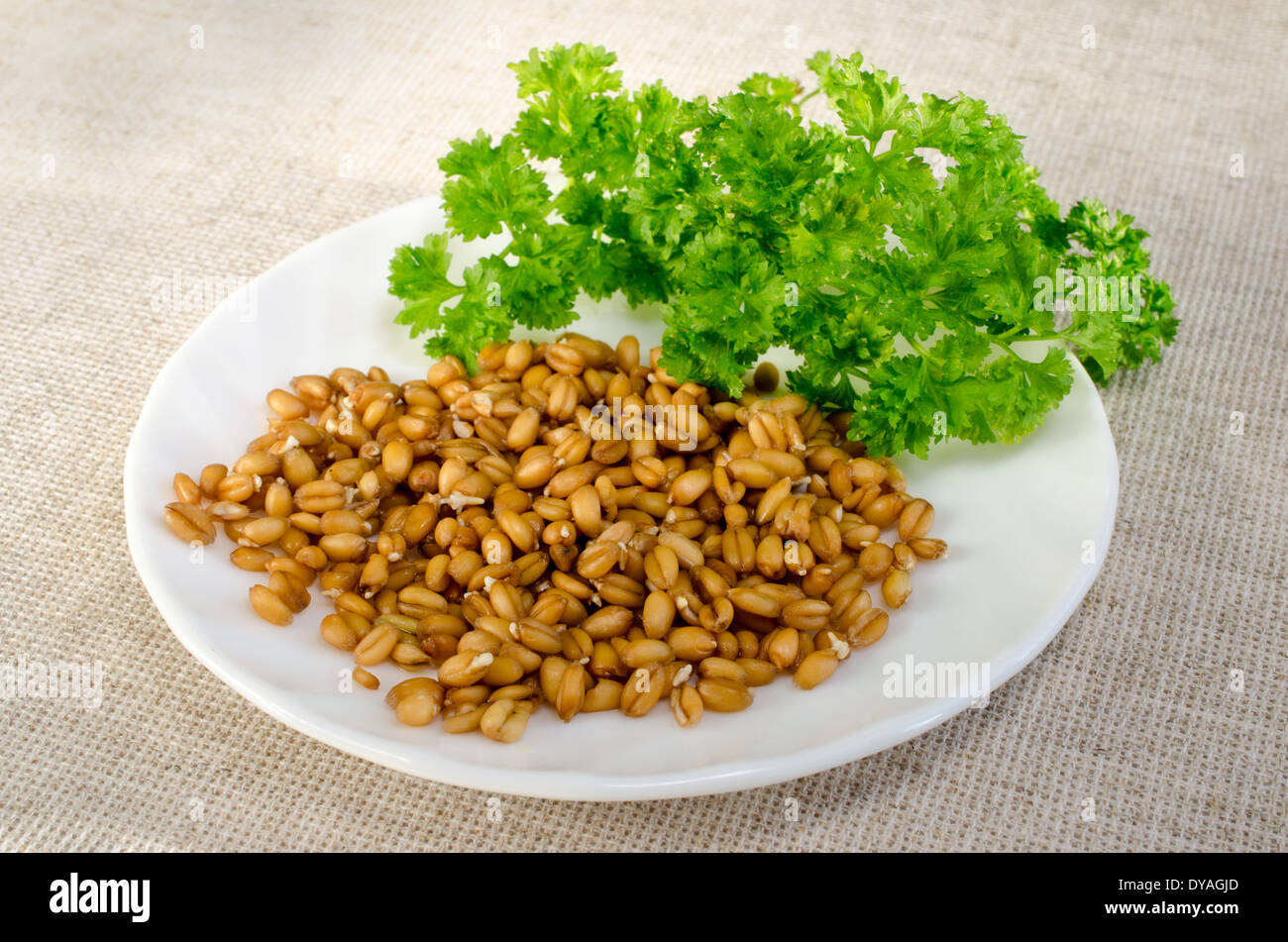 Sprouted grains hi-res stock photography and images - Alamy