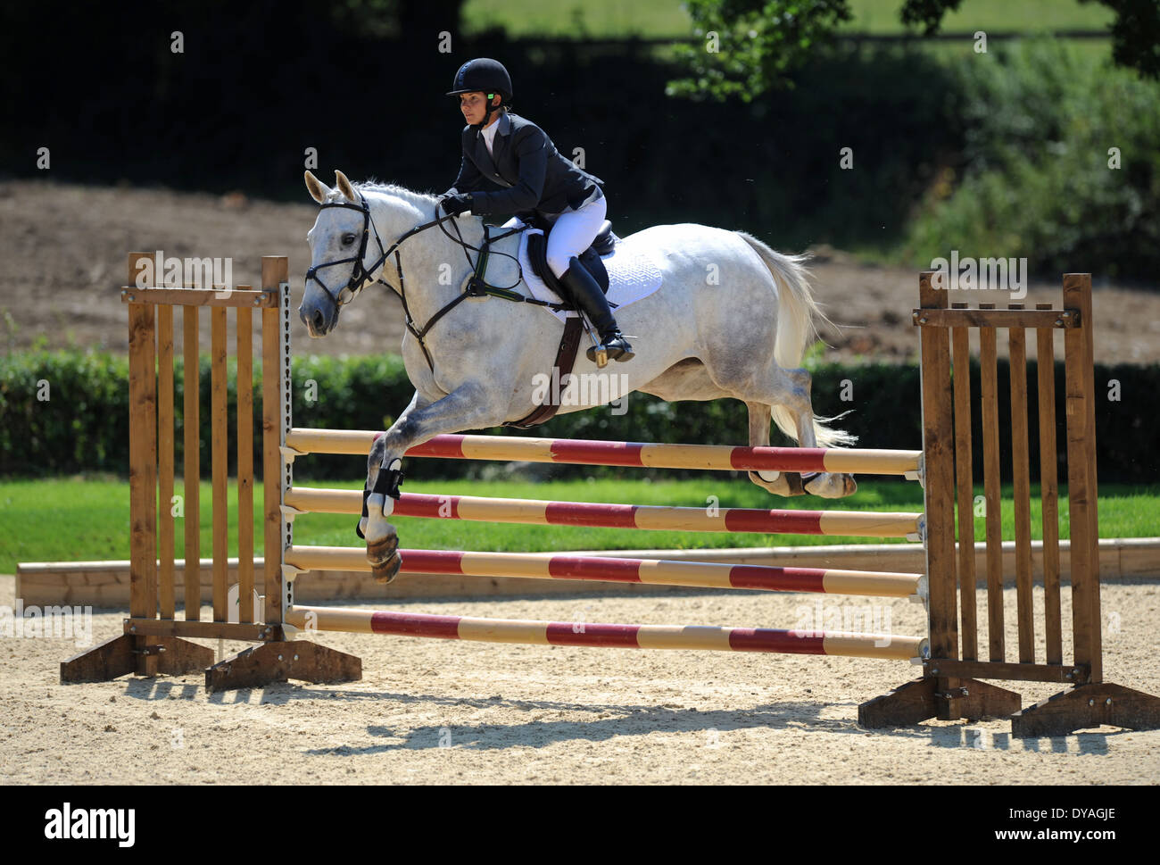 A Rider competes on her horse during a show jumping competition Stock ...