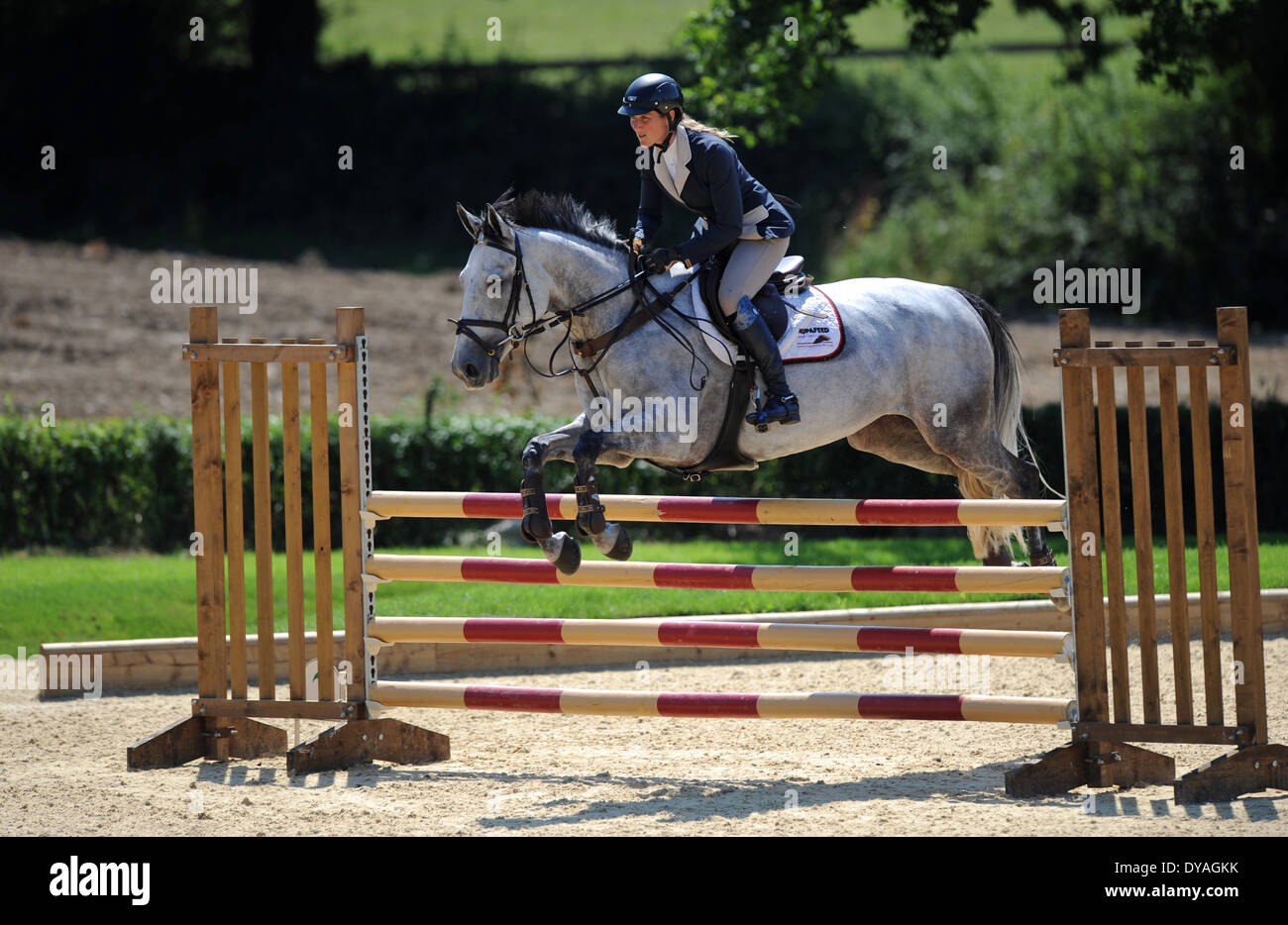 A Rider competes on her horse during a show jumping competition Stock ...