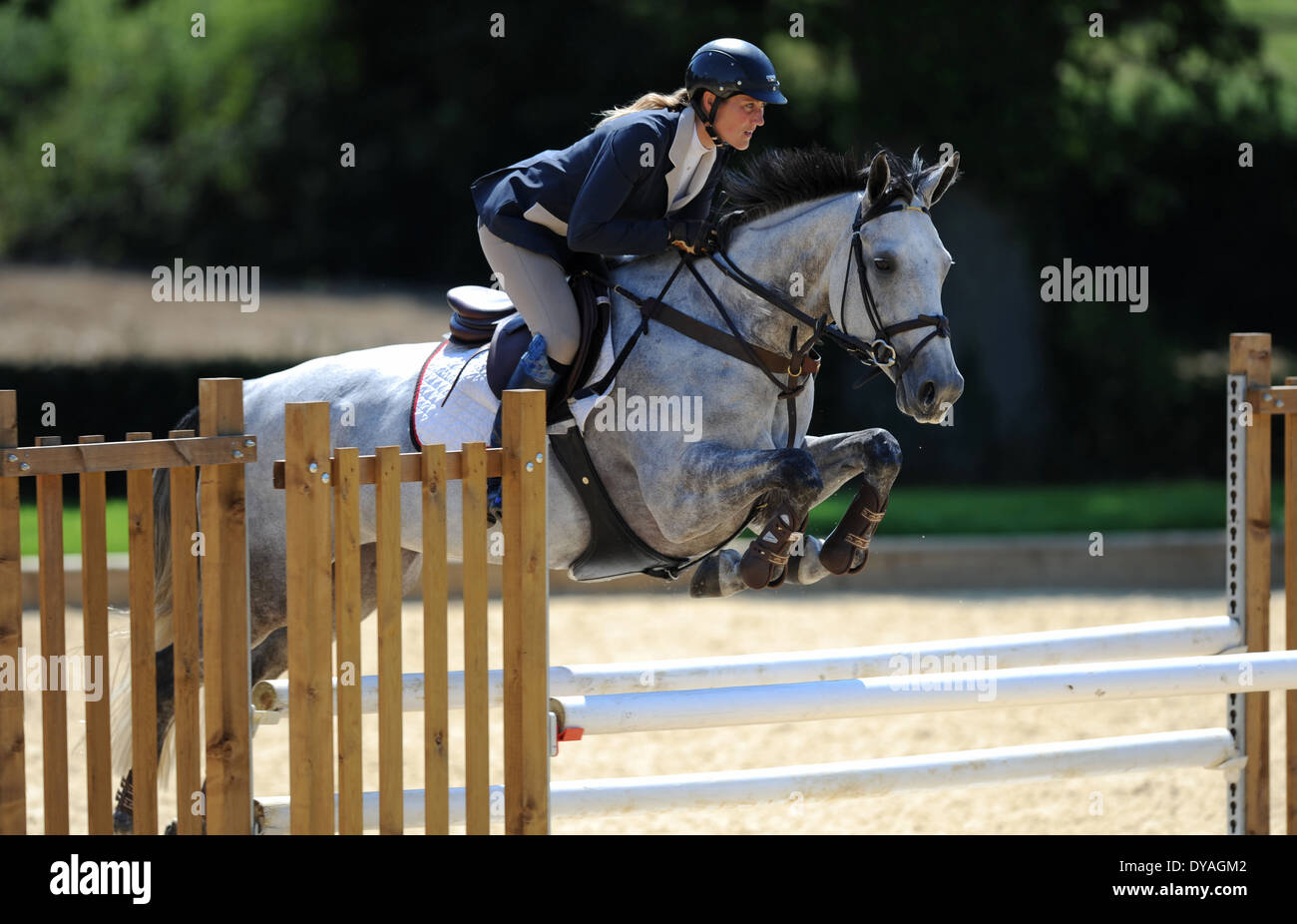 A Rider competes on a horse during a show jumping competition Stock ...