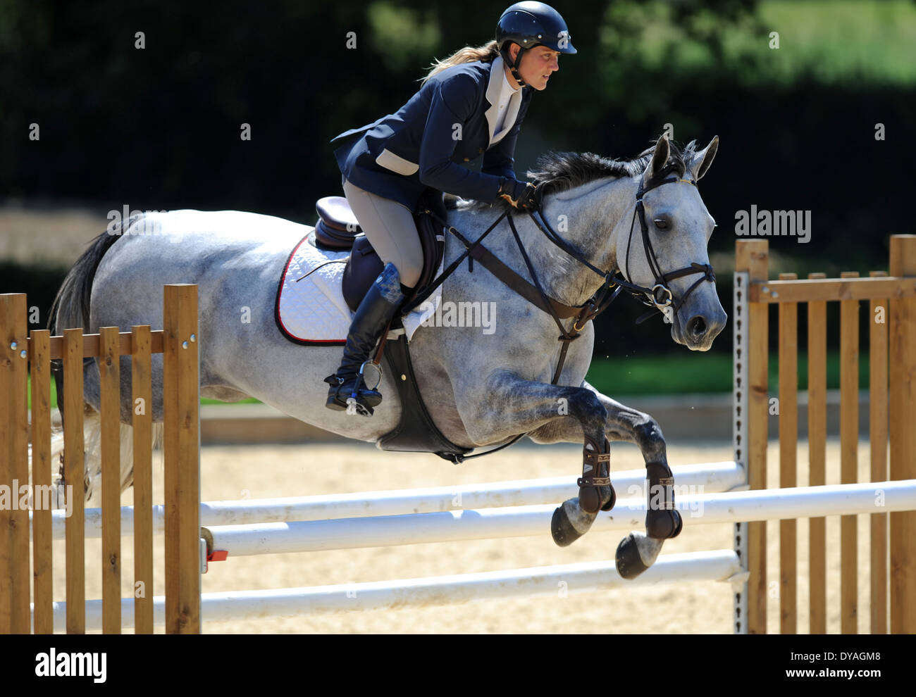 A Rider competes on a horse during a show jumping competition Stock ...