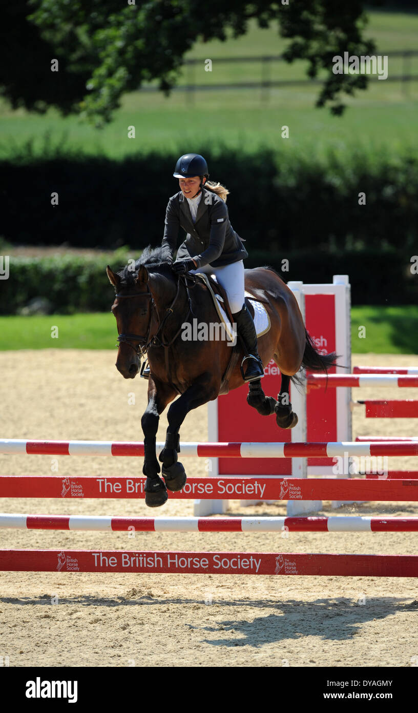 A Rider competes on her horse during a show jumping competition Stock ...