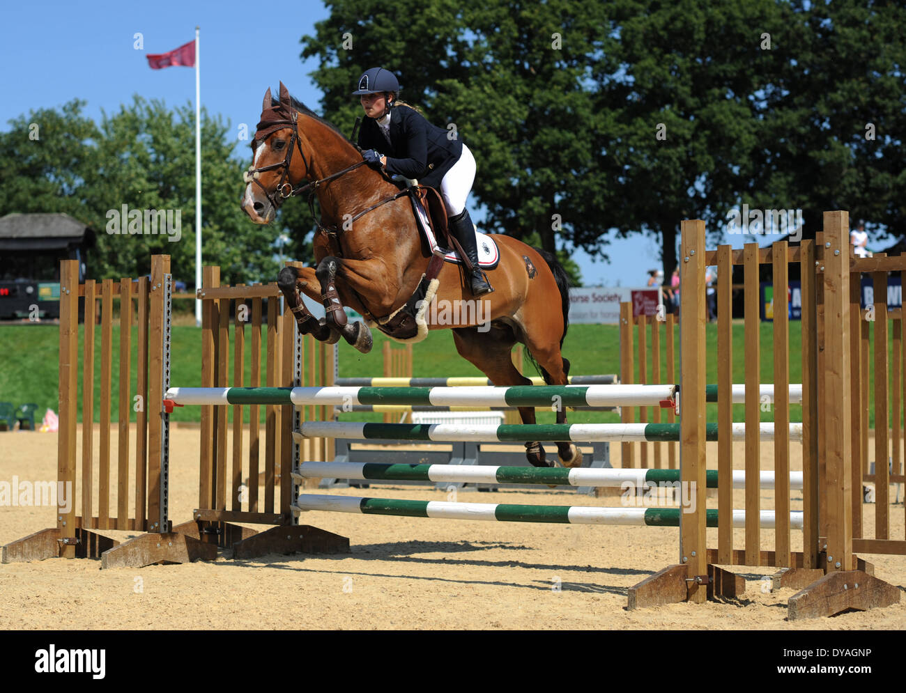 A Rider jumps a fence on her horse during a show jumping competition ...