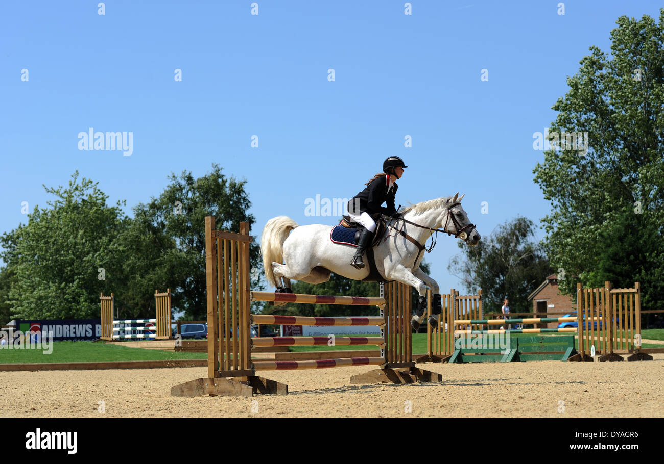 A Rider jumps a fence on a horse during a show jumping competition ...