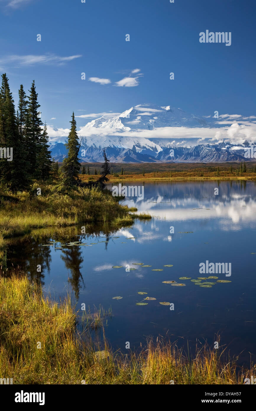 Denali Is Reflected In A Small Lake Near The Wonder Lake Campground At ...