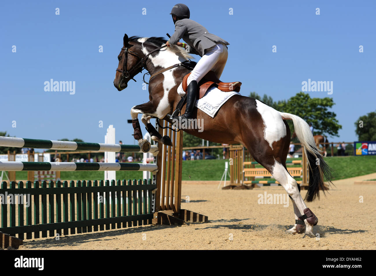 A rider jumps a fence on a horse during a show jumping competition ...