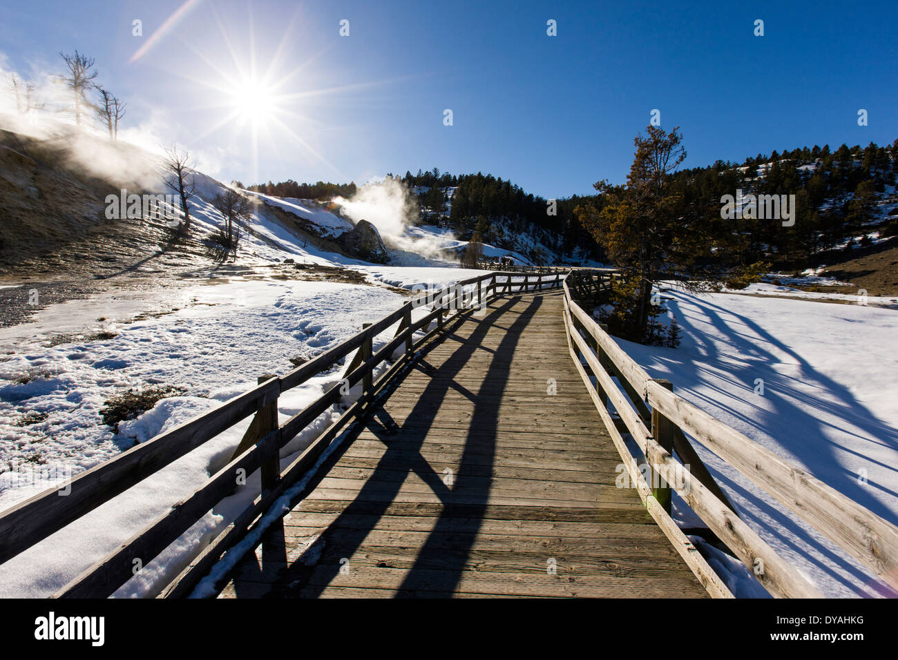 Fenced boardwalk & walkway, Mammoth Hot Springs, Yellowstone National ...