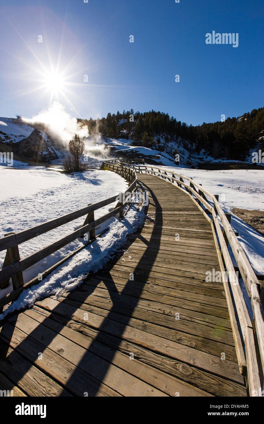 Fenced boardwalk & walkway, Mammoth Hot Springs, Yellowstone National ...