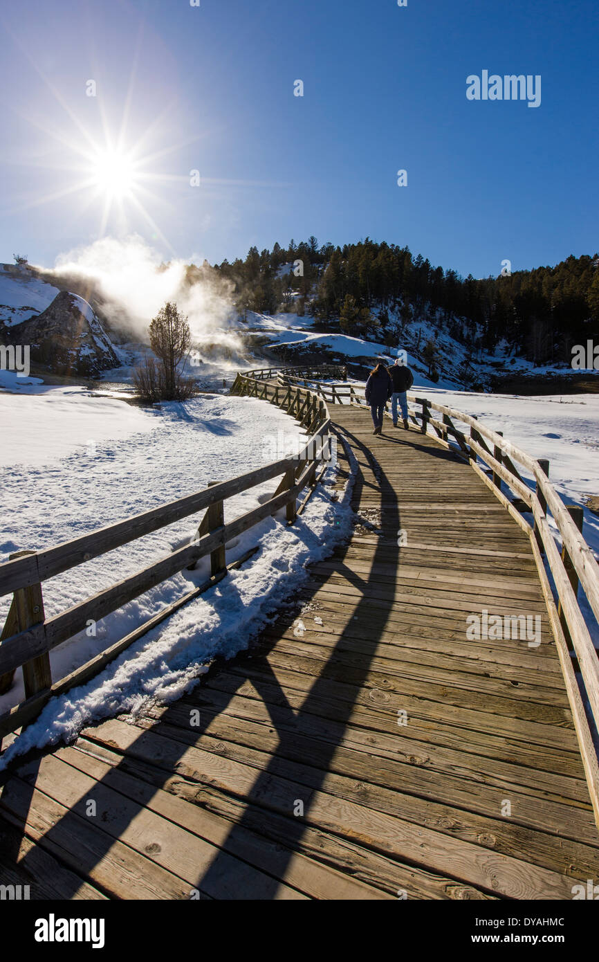 Park visitors walk along fenced boardwalk & walkway, Mammoth Hot ...