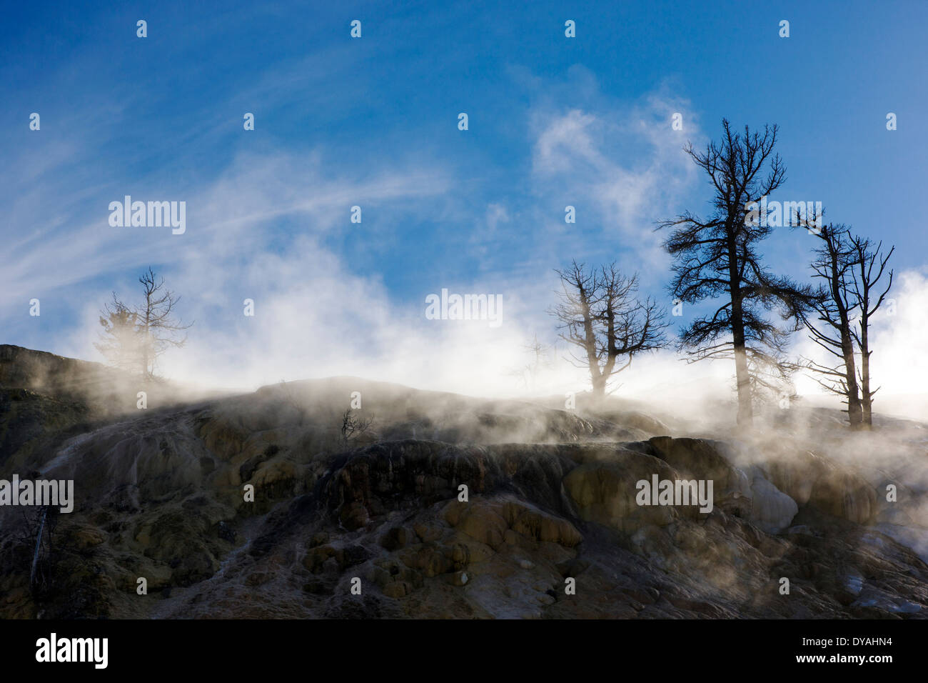 Yellowstone steam unusual hi-res stock photography and images - Alamy