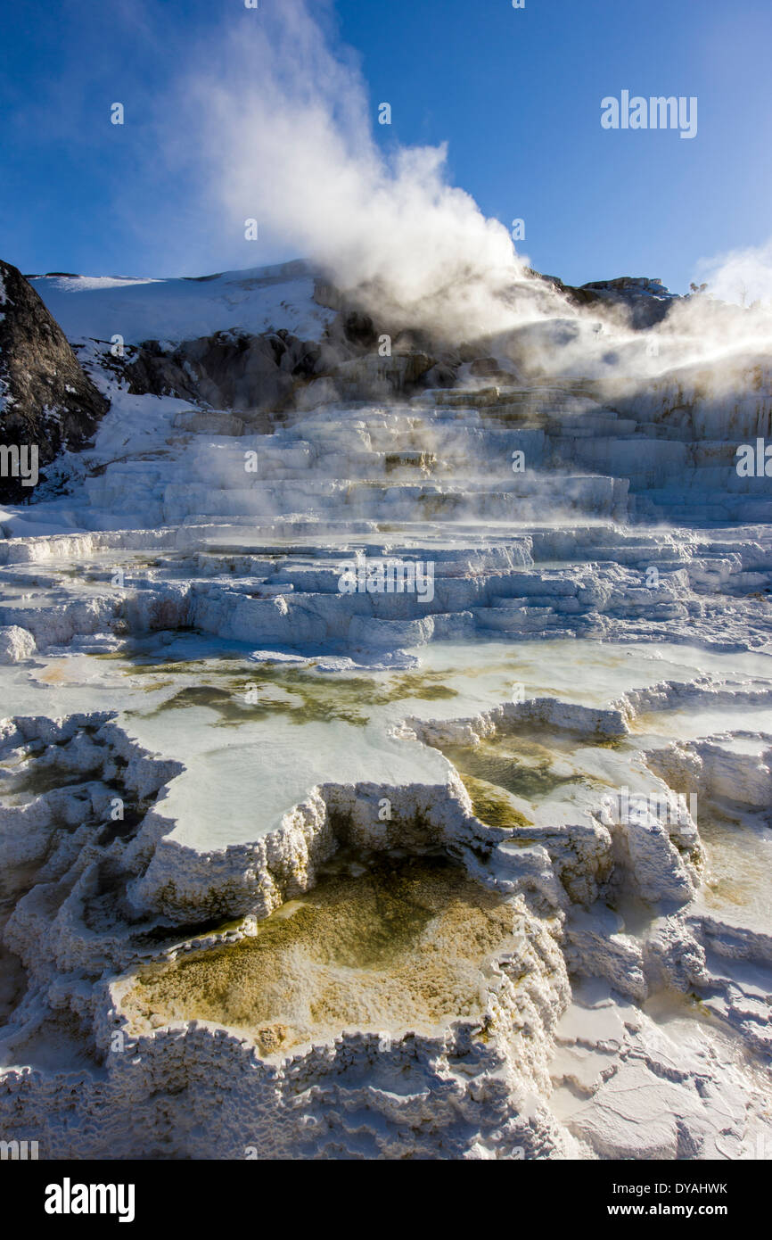 Palette Spring, Mammoth Hot Springs, Yellowstone National Park, USA ...