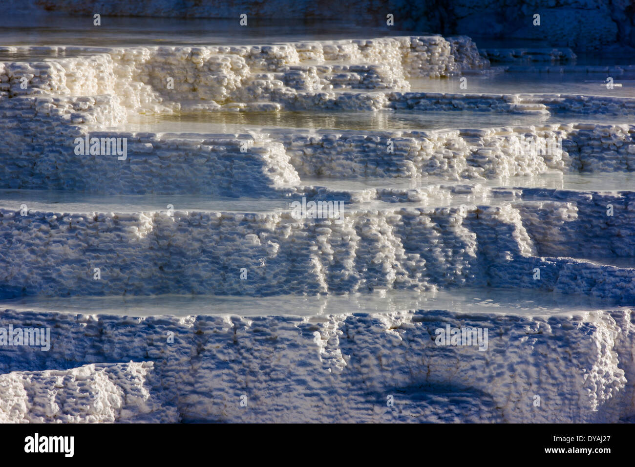 Palette Spring, Mammoth Hot Springs, Yellowstone National Park, USA ...