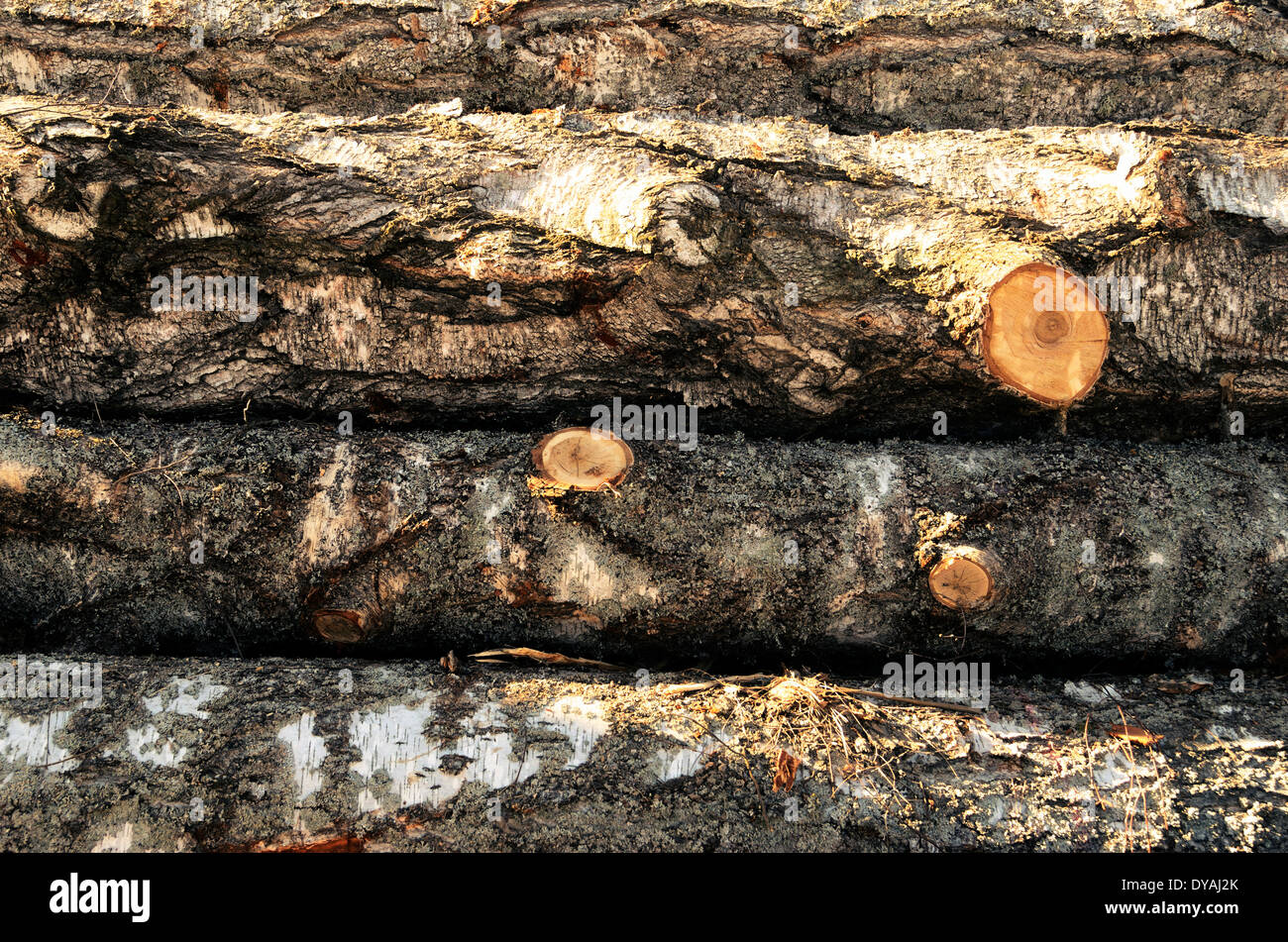 Construction horizontal rings hi-res stock photography and images - Alamy