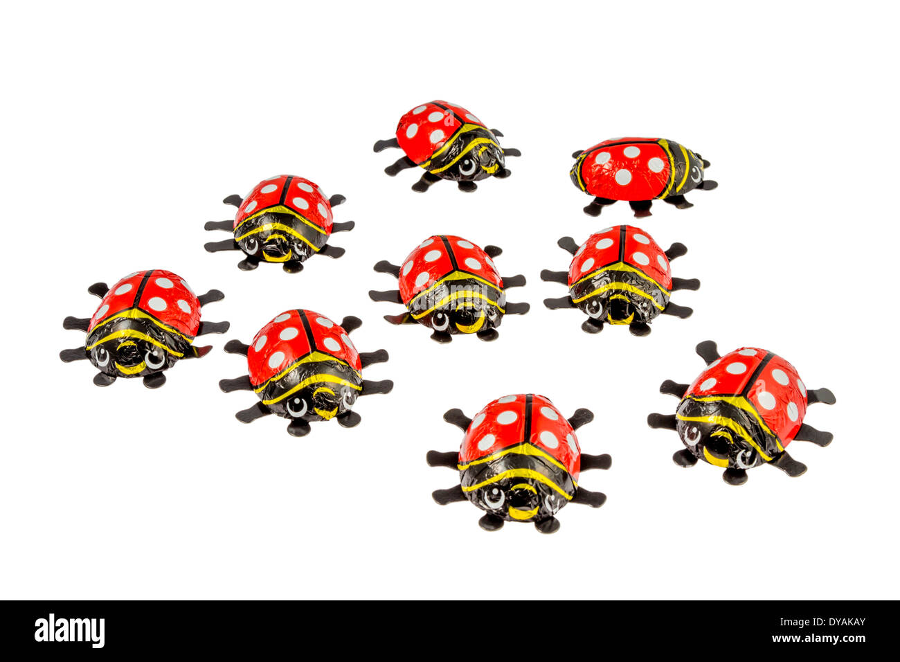 chocolate ladybird wrapped in aluminum foil isolated on white ...