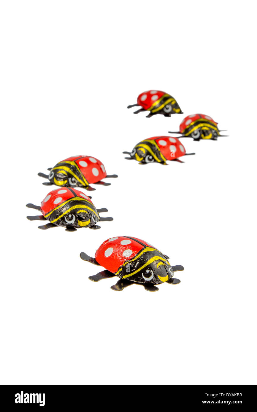 chocolate ladybird wrapped in aluminum foil isolated on white ...