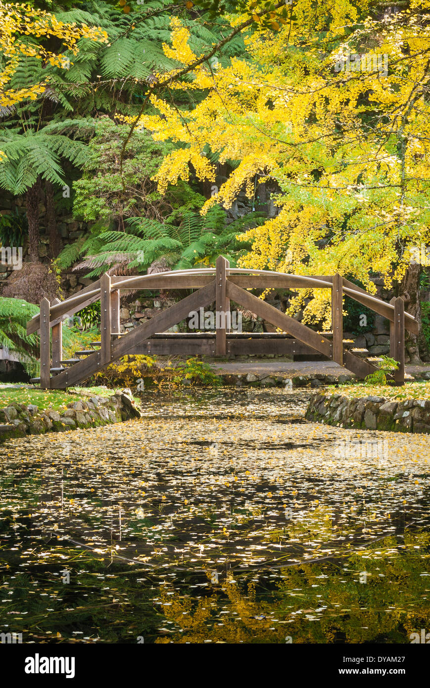 Wooden Bridge and man made lake at Alfred Nicholas Memorial Gardens ...