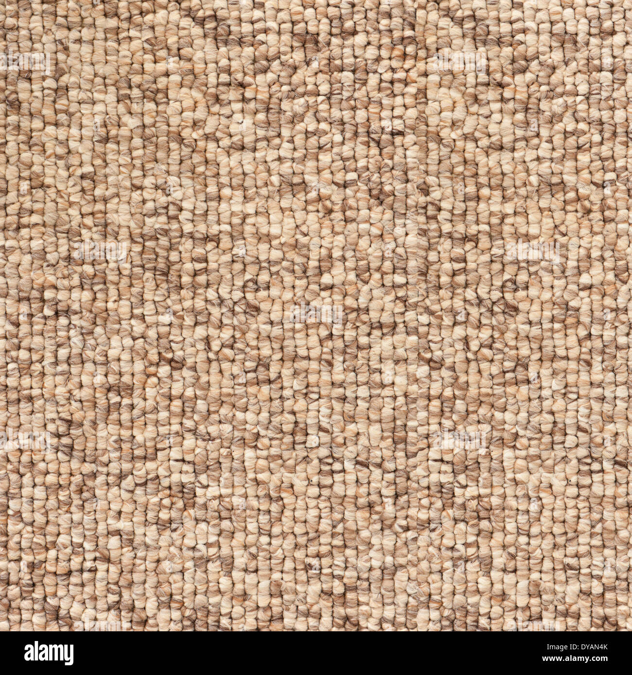 Brown Carpet Texture