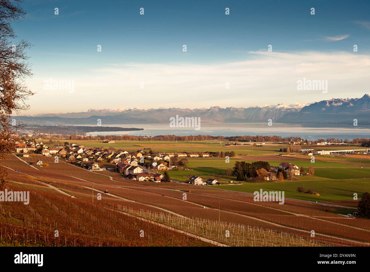 A view across the wine-growing region of Switzerland called 'La Cote ...